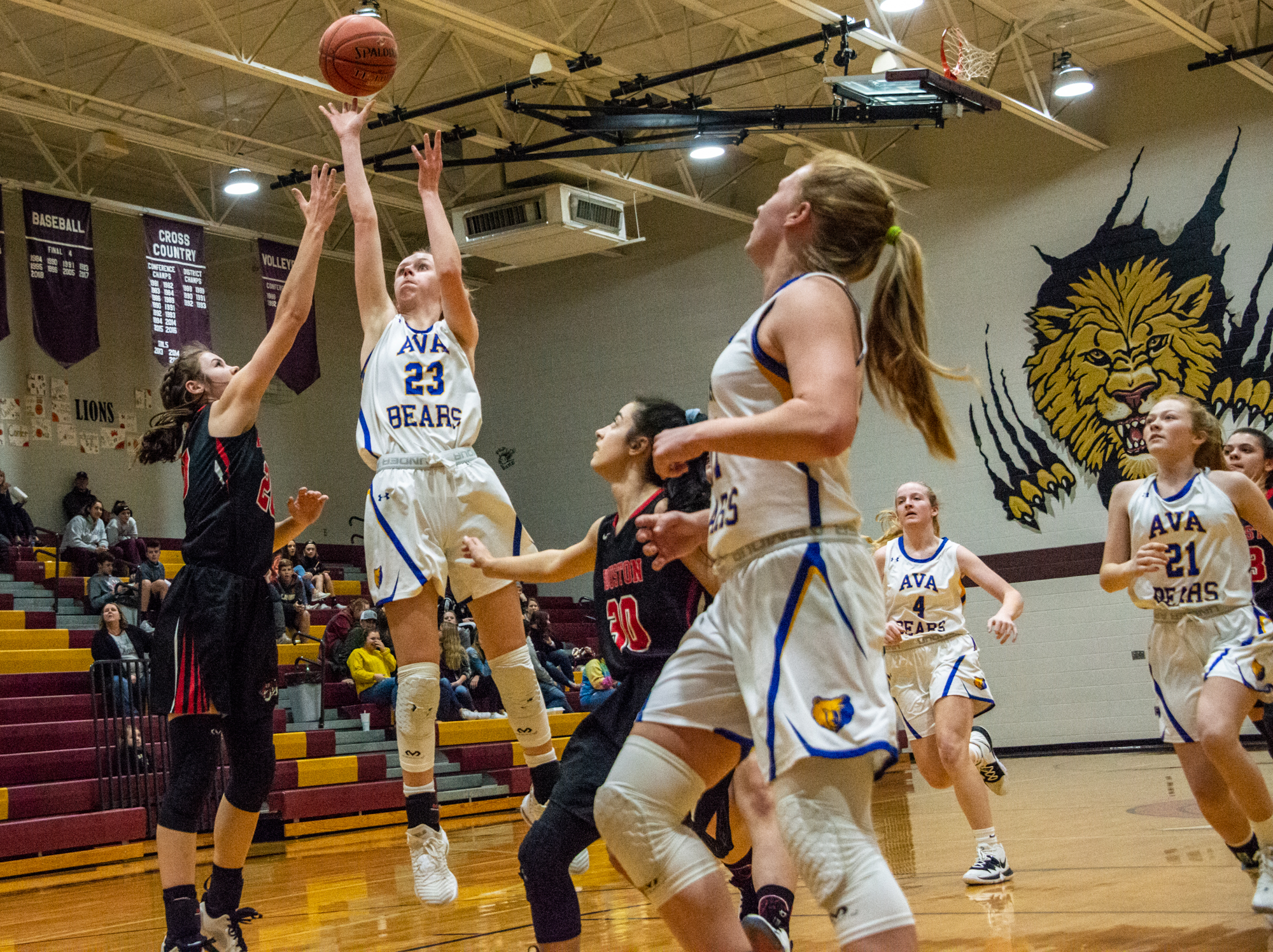 Teamwork on Tour: Lady Bears Shine in Tournament Play – Douglas County ...