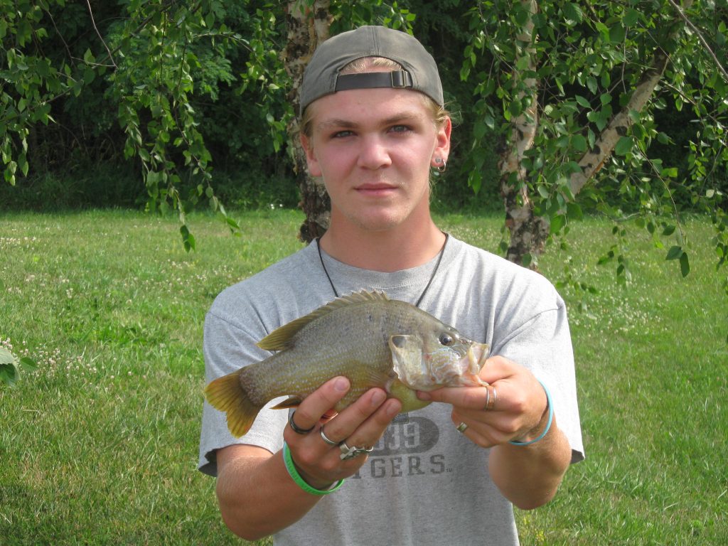 Greentop Angler Catches State-Record Green Sunfish – Douglas County Herald