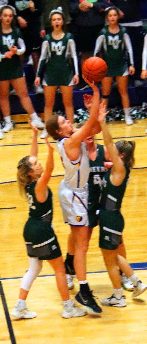 Mendel and Dalton Named to All-State Teams – Douglas County Herald