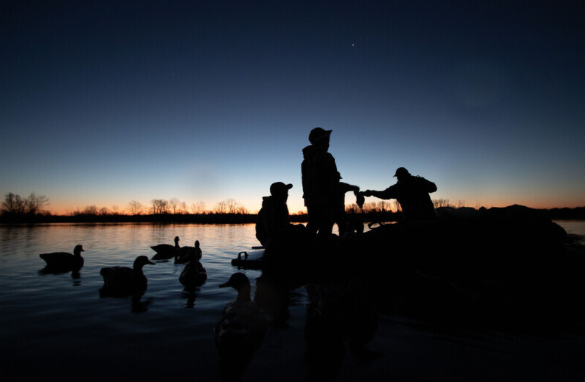 MDC offers new non-resident migratory bird hunting permit – Douglas ...